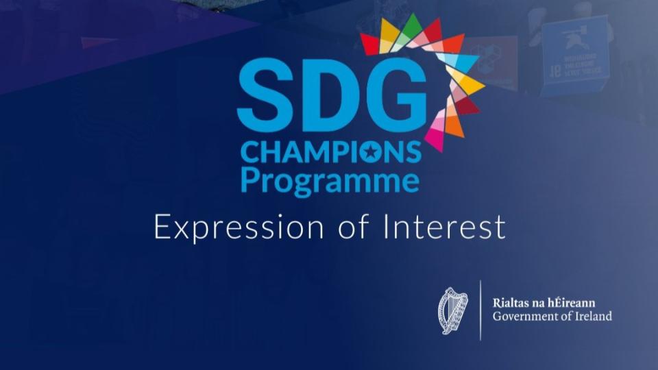 SDG Champions Programme 2025: Call for Expressions of Interest | The Wheel